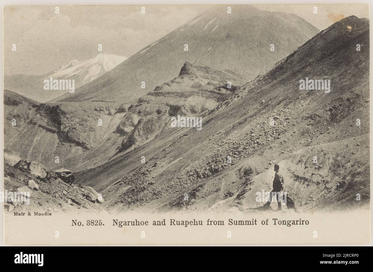 Ngaruahoe and Ruapehu from summit of Tongariro, 1904-1915, New Zealand ...