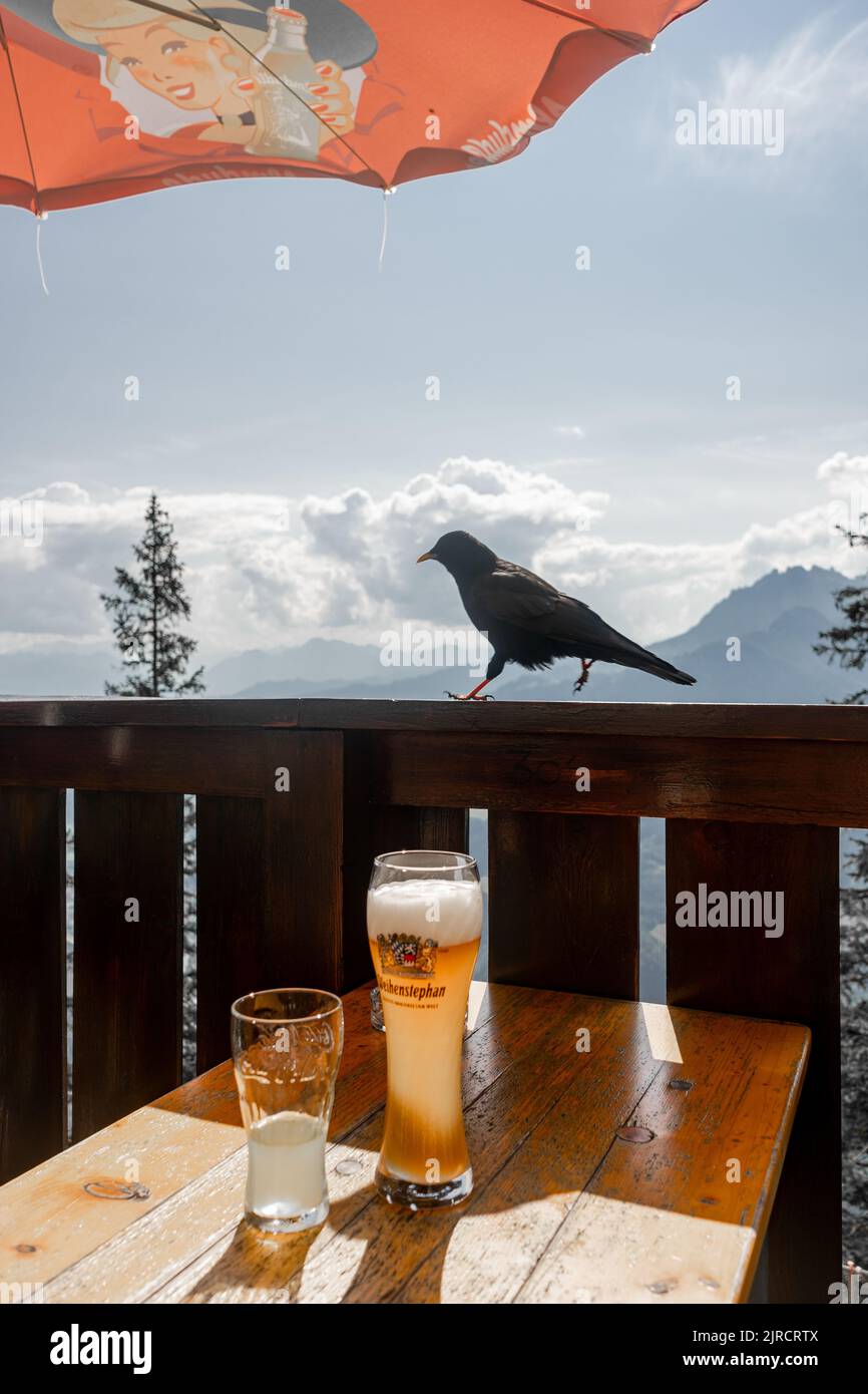 Birds in the mountains hi-res stock photography and images - Alamy