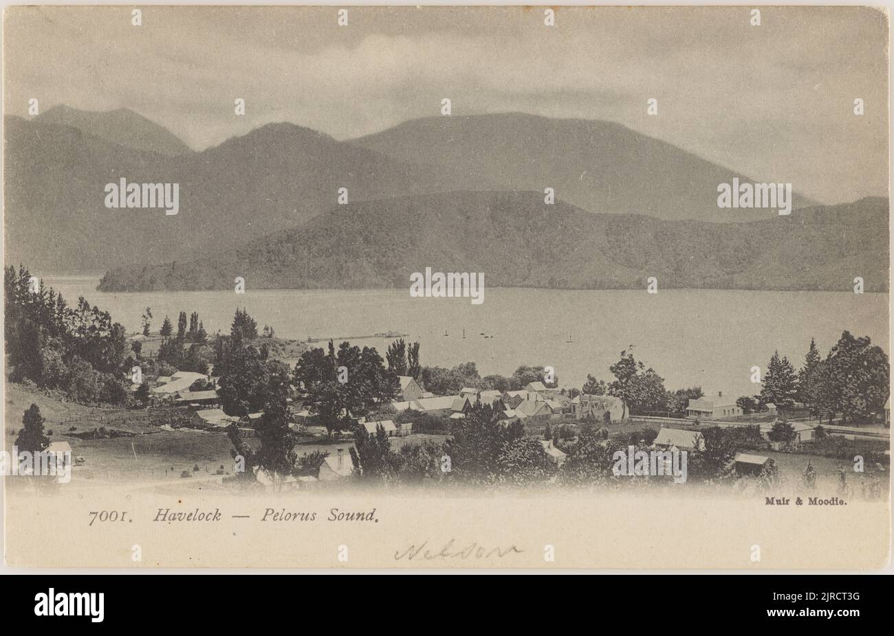 Havelock, Pelorus Sound, 1900-1903, Nelson, by Muir & Moodie Stock ...