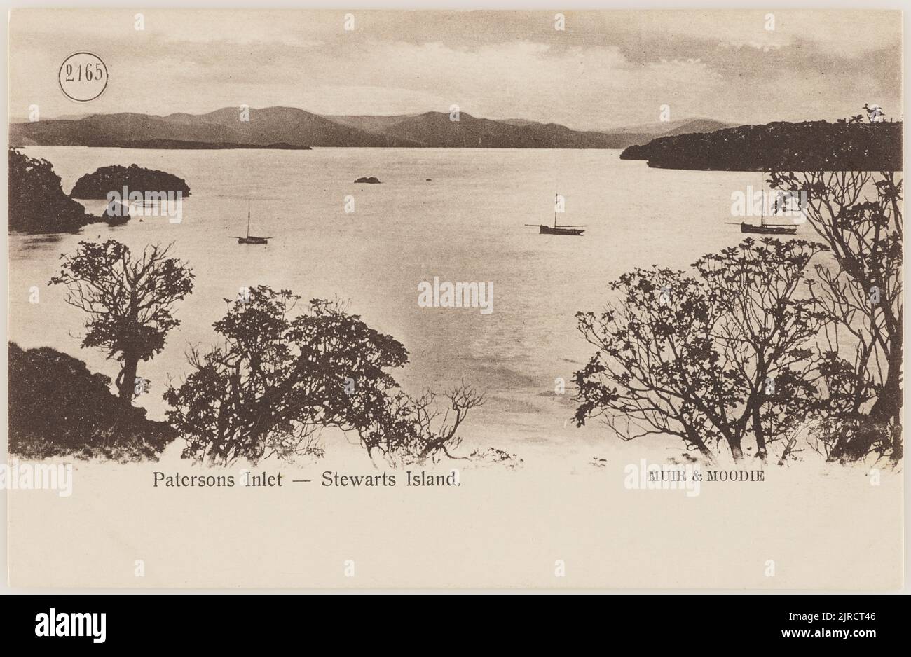 Paterson Inlet, Stewart Island, 1900-1903, Dunedin, by Muir & Moodie ...