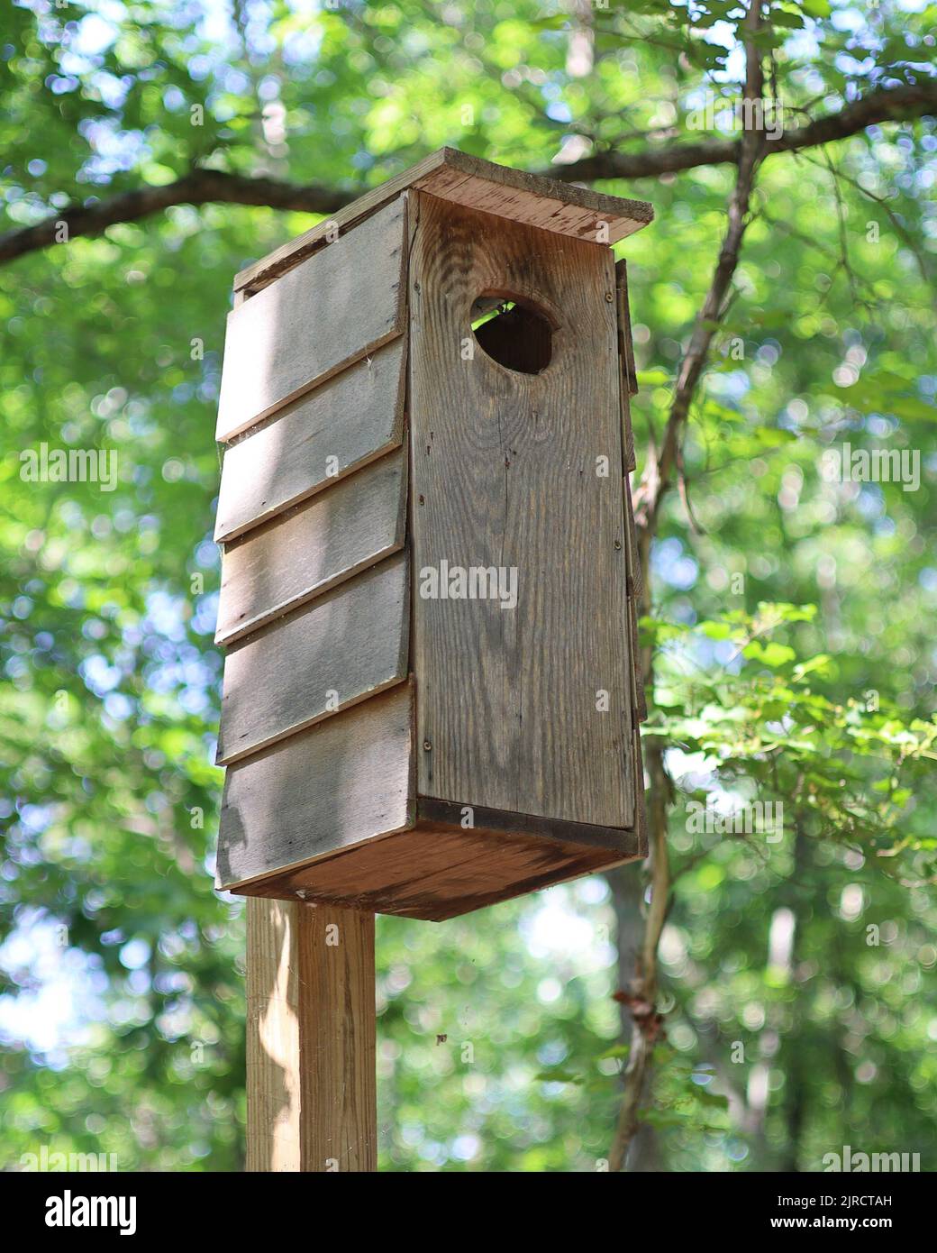 A vertical shot of a wooden treehouse against a background of lush tree ...