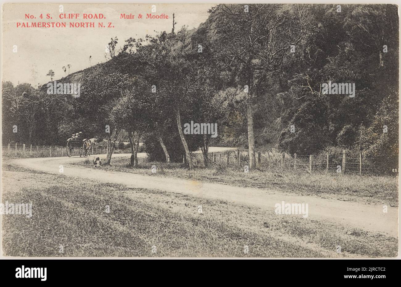 Palmerston north cliff road hi-res stock photography and images - Alamy