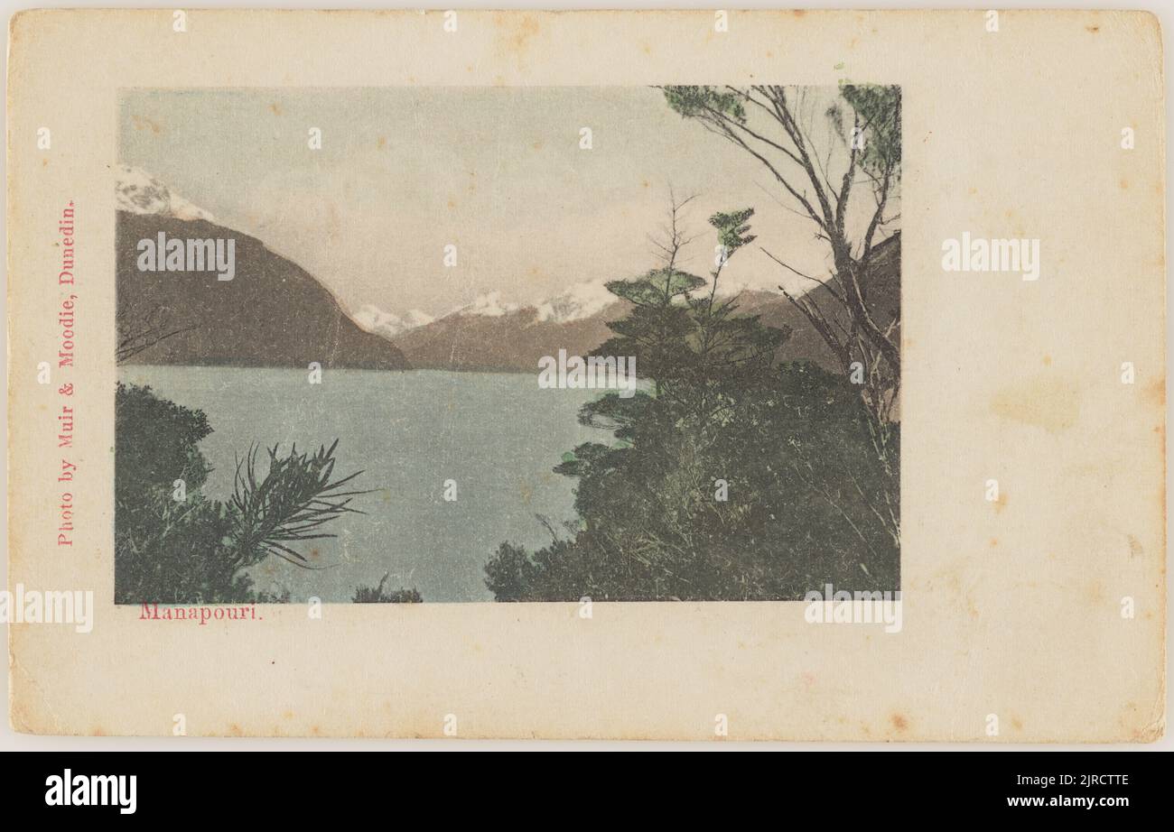 Manapouri, 1900-1903, Manapouri, Lake, by Muir & Moodie Stock Photo - Alamy