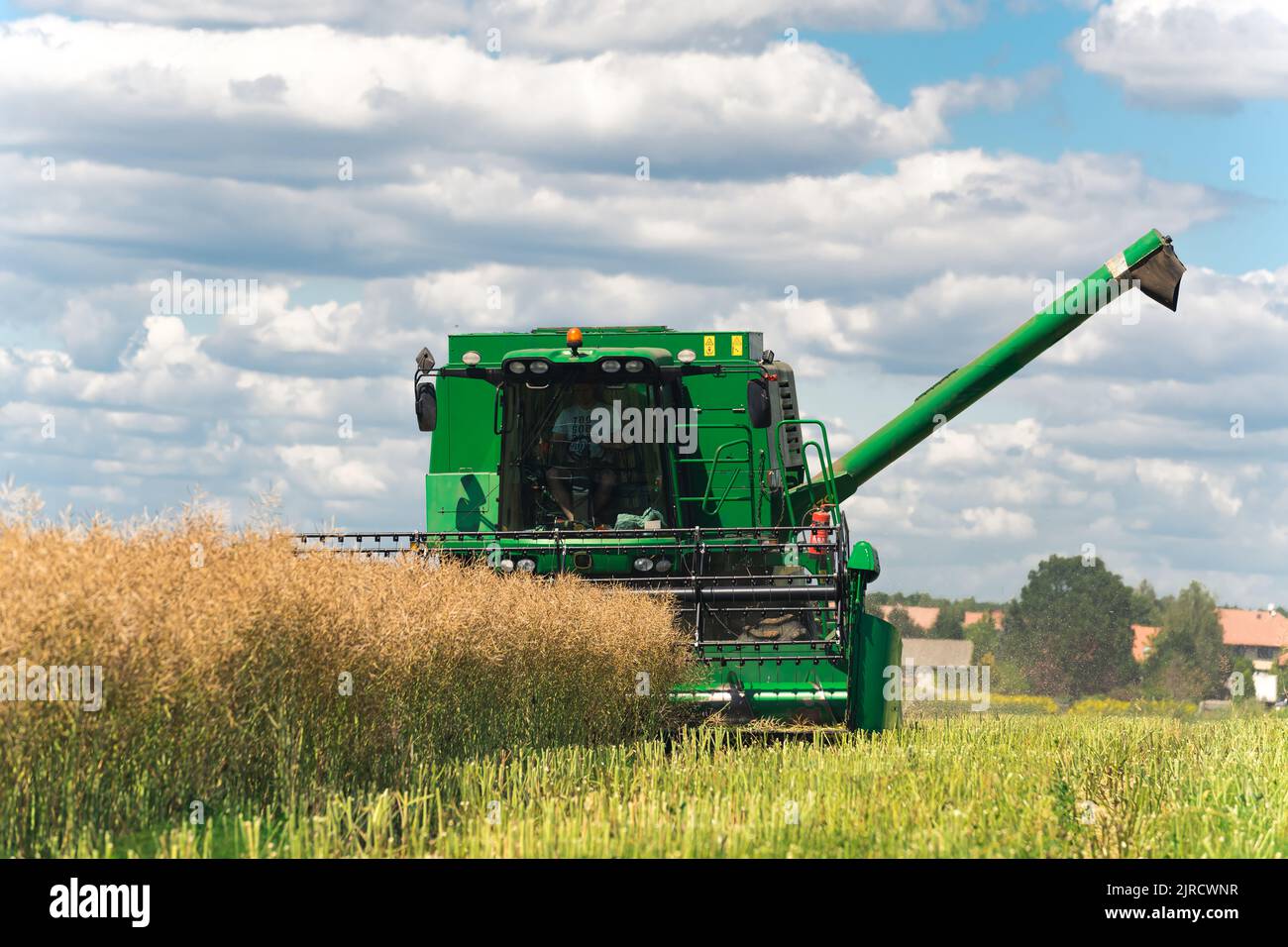The front of a green modern combine harvester harvesting the rapeseed ...