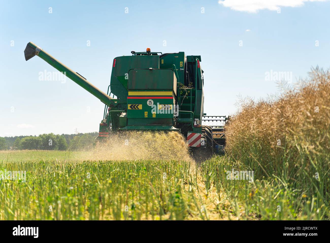 Green combine harvester watering the rapeseed field after harvesting ...