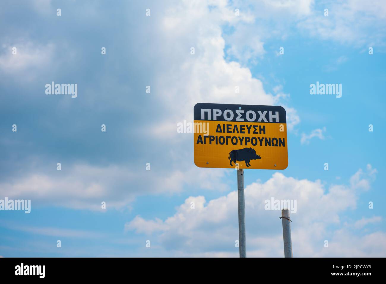 Wild Boar warning sign, halkidiki greece Stock Photo - Alamy