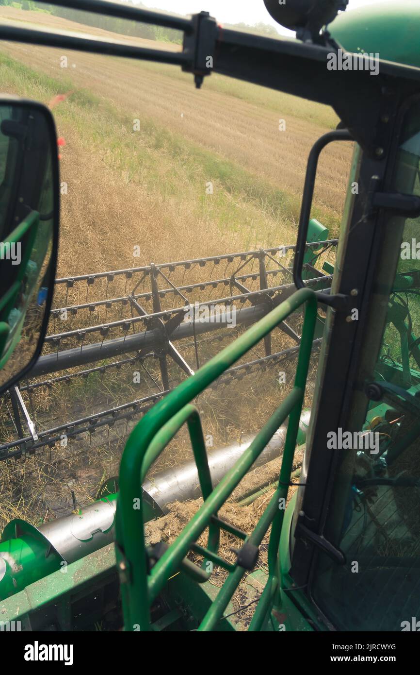 Summertime rapeseed harvesting seen from unusual perspective. View of ...