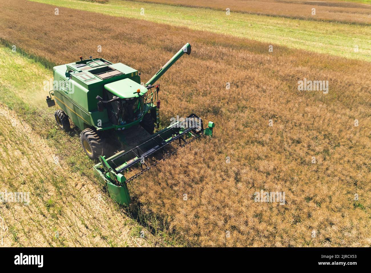 Human and natural environment. Professional combine harvester in green ...