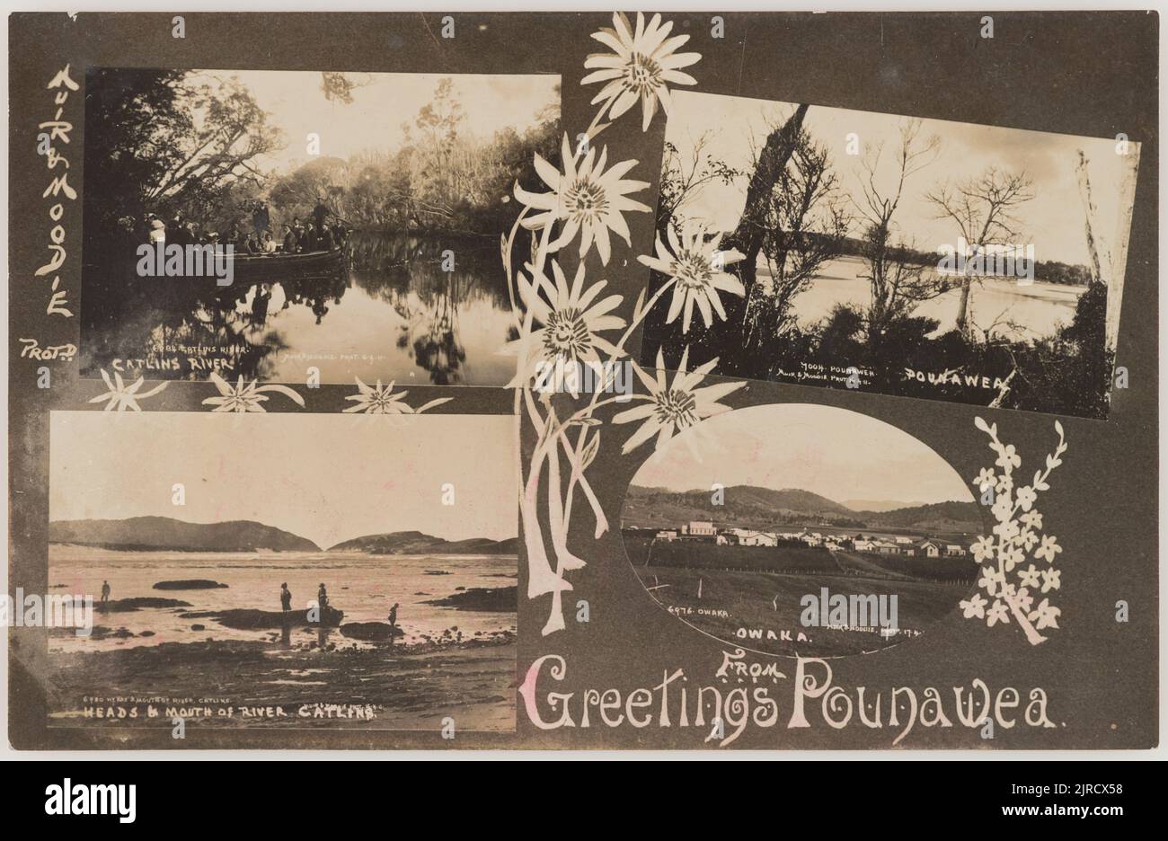 Greetings from Pounawea, 1911, Otago, by Muir & Moodie Stock Photo - Alamy