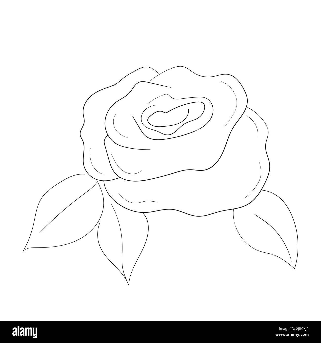 Floral silhouette art line. Flowers in continuous line drawing style ...