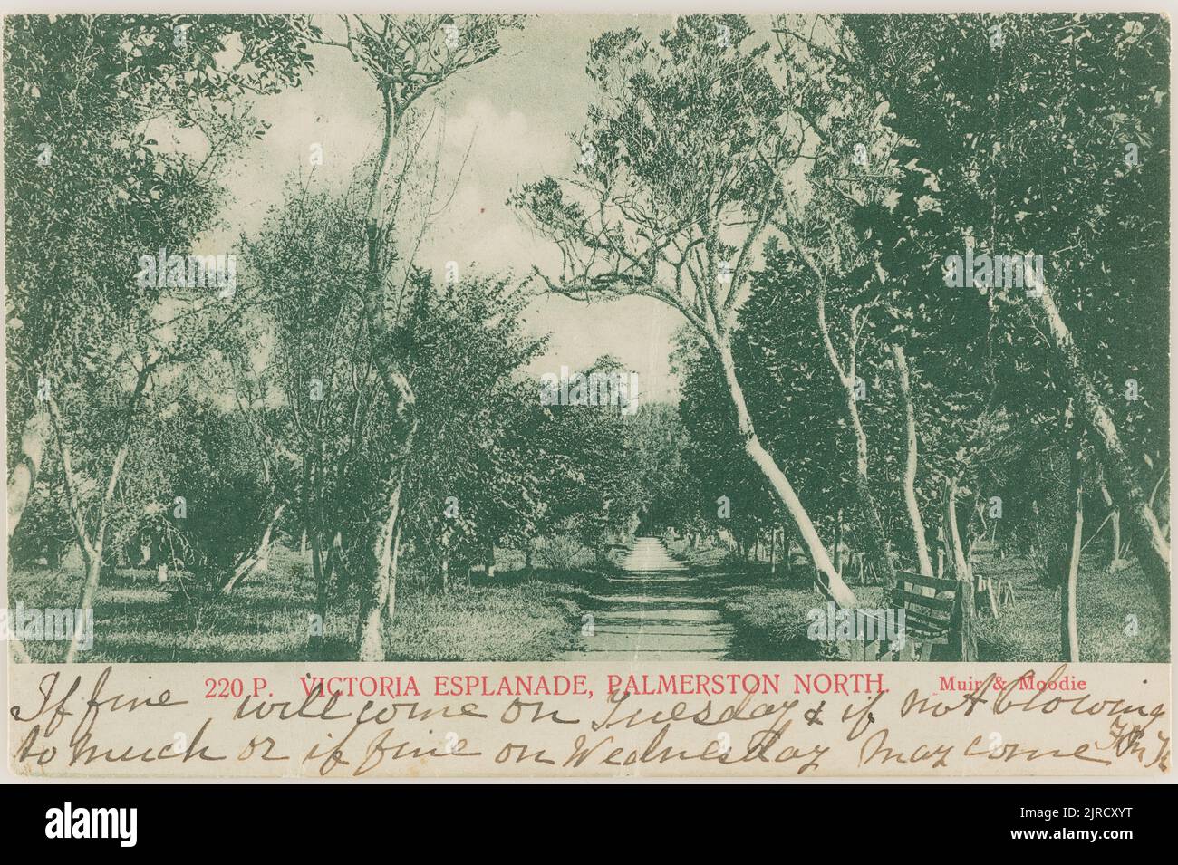 Palmerston north victoria esplanade hi-res stock photography and images ...