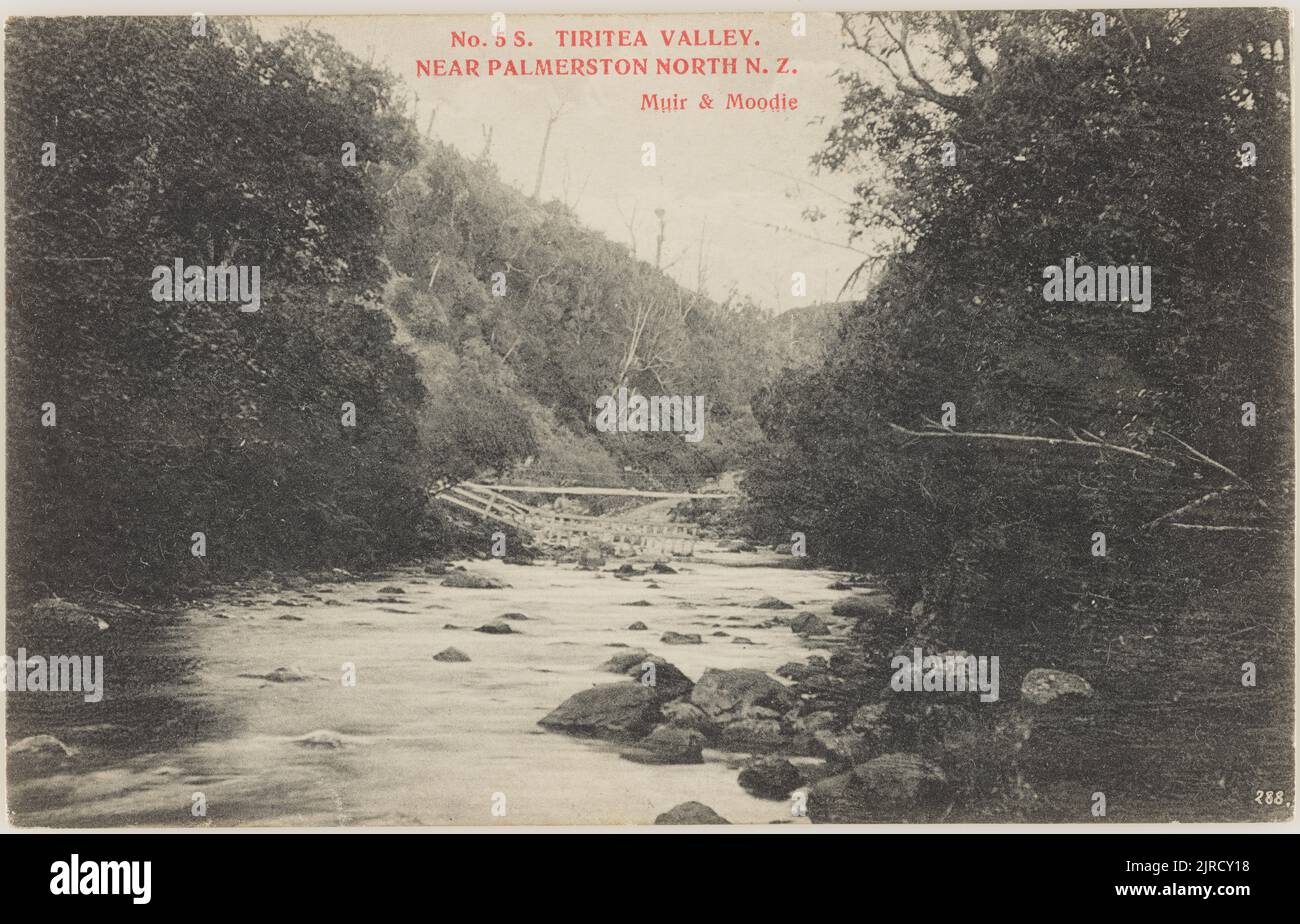 Tiritea valley hi-res stock photography and images - Alamy