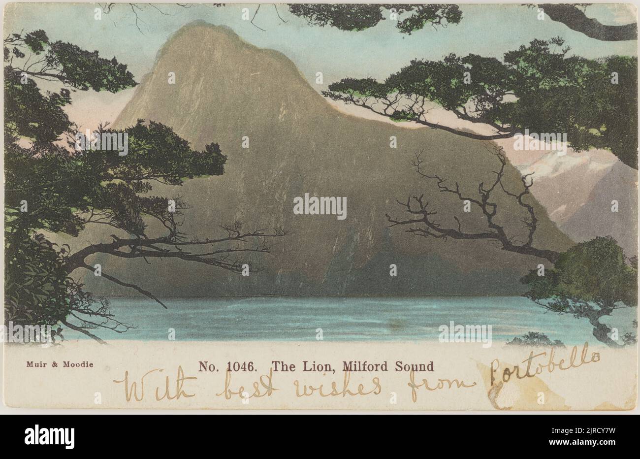 The Lion, Milford Sound, 1900-1903, Milford Sound, by Muir & Moodie ...