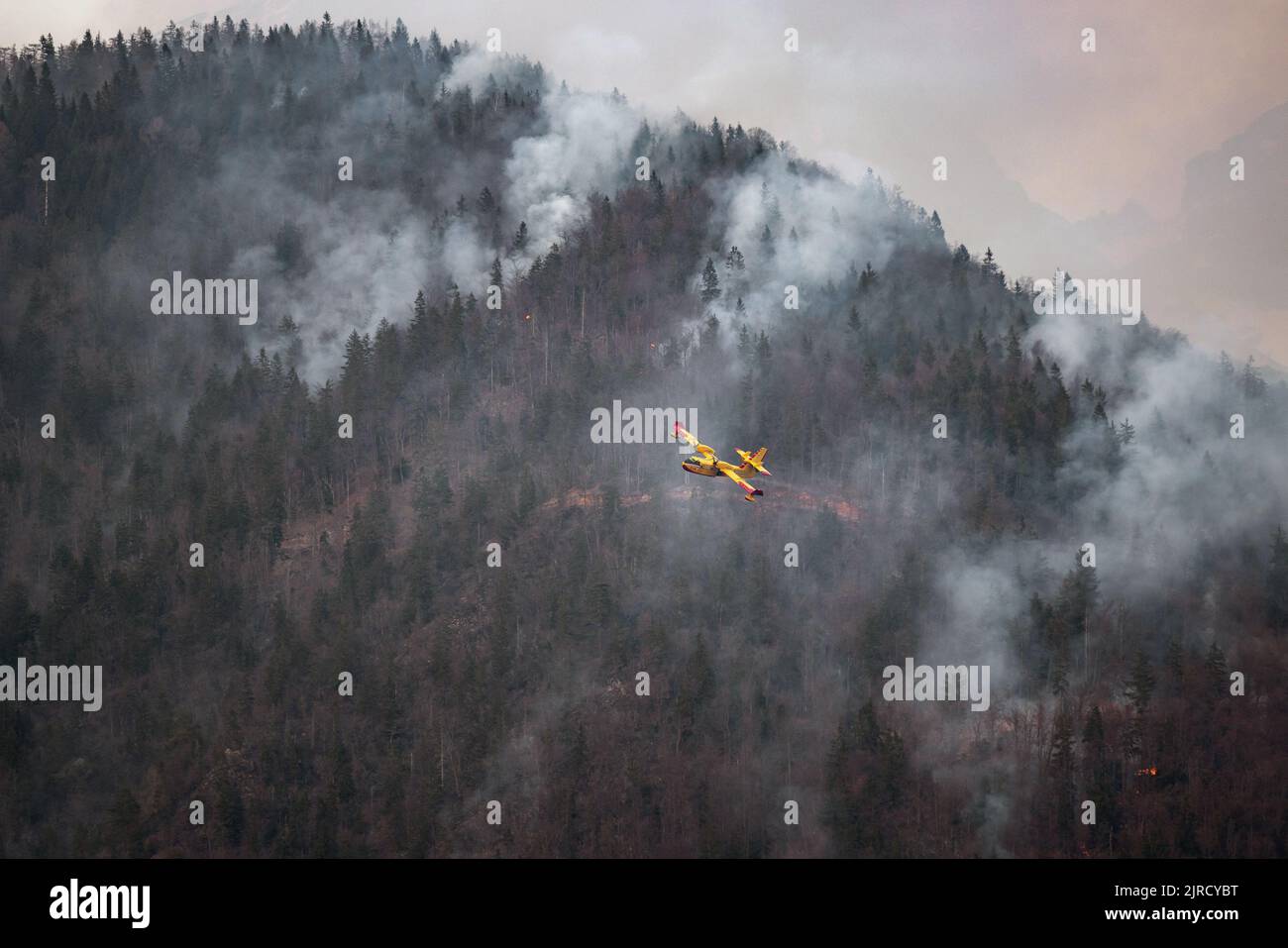 Firefighting airplane with water from a lake to extinguish wildfire in ...