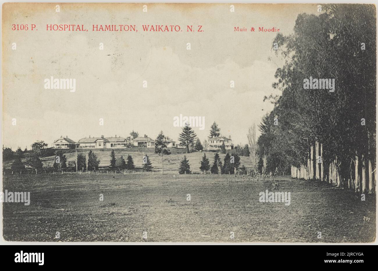 Hospital, Hamilton, Waikato, New Zealand, 1906, Hamilton, by Muir ...
