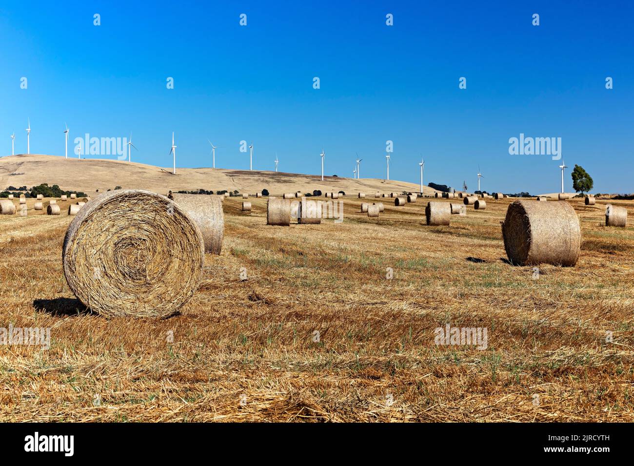 Wind turbines field hay bales hi-res stock photography and images - Alamy