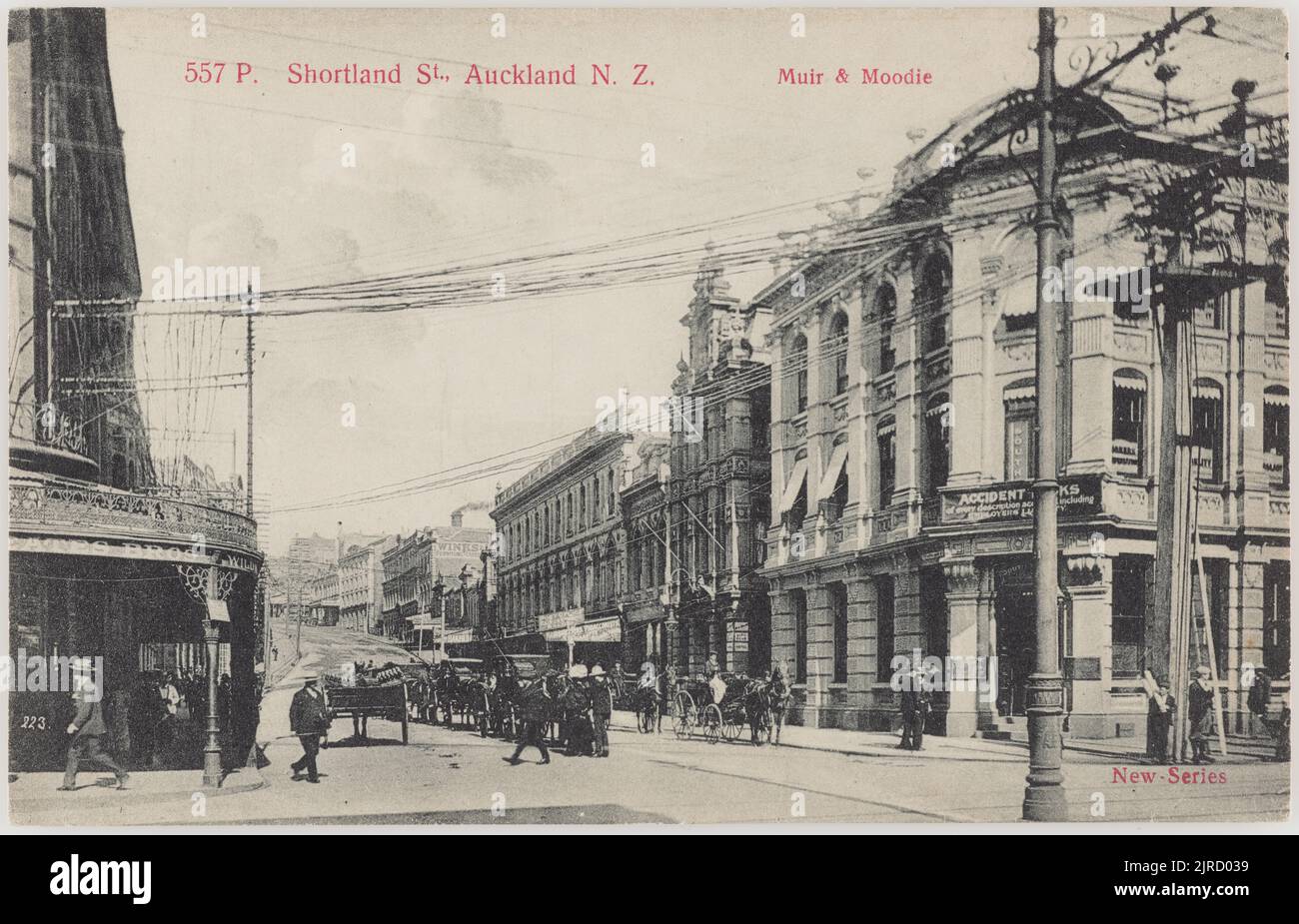 Shortland Street, Auckland, 1905, Auckland, by Muir & Moodie Stock ...