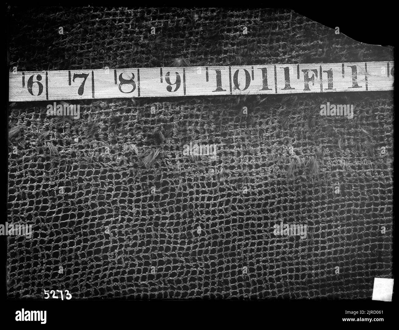 Feather cloak hi-res stock photography and images - Alamy