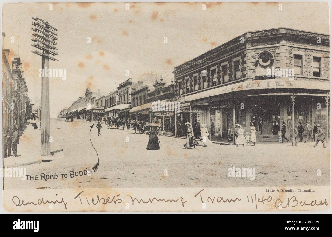 Street scene, Timaru, 1900-1903, Timaru, by Muir & Moodie Stock Photo ...
