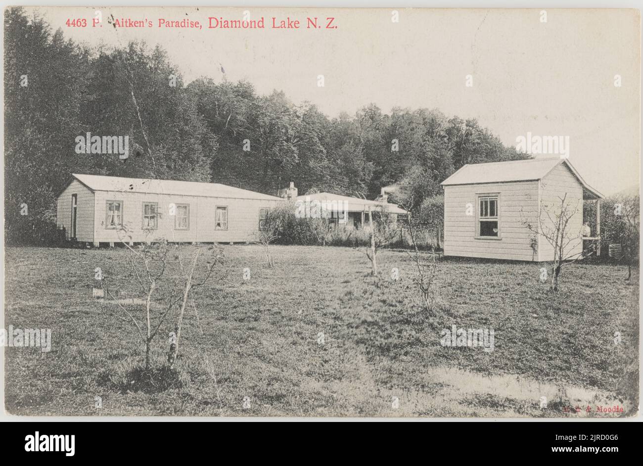 Aitken's Paradise, Diamond Lake, New Zealand, 1906, New Zealand, by ...