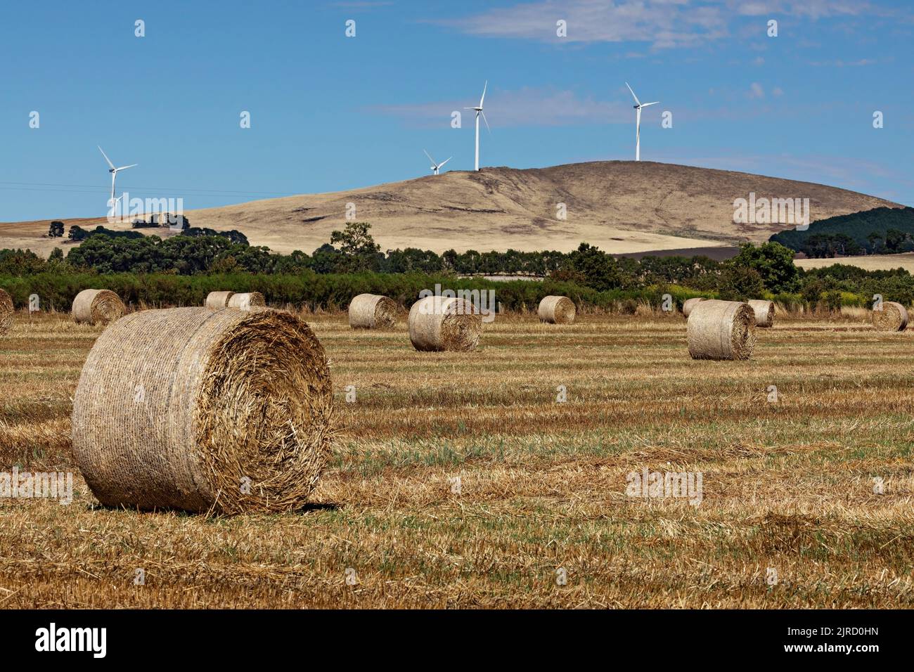 Wind turbines field hay bales hi-res stock photography and images - Alamy