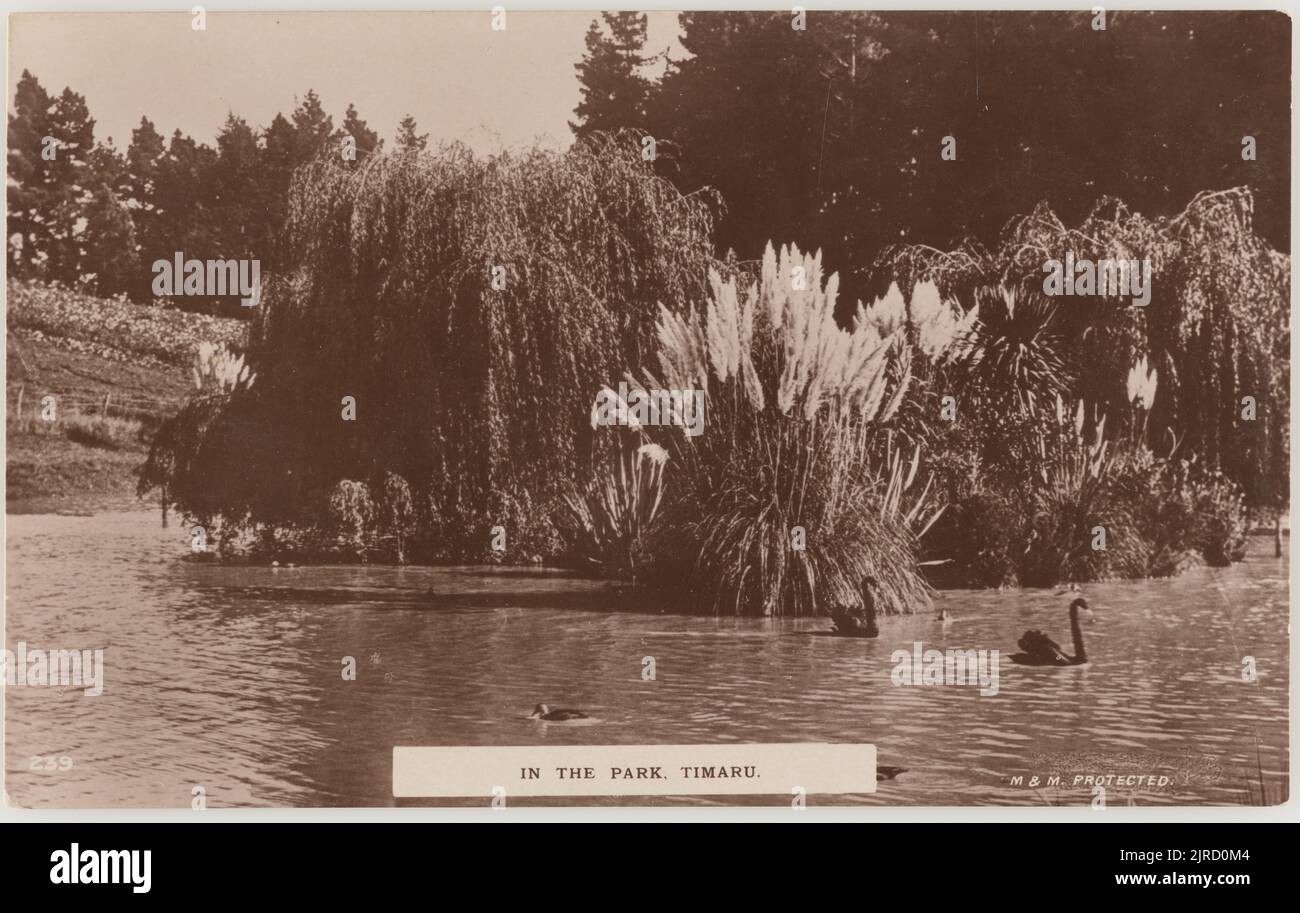 Timaru in the park hi-res stock photography and images - Alamy