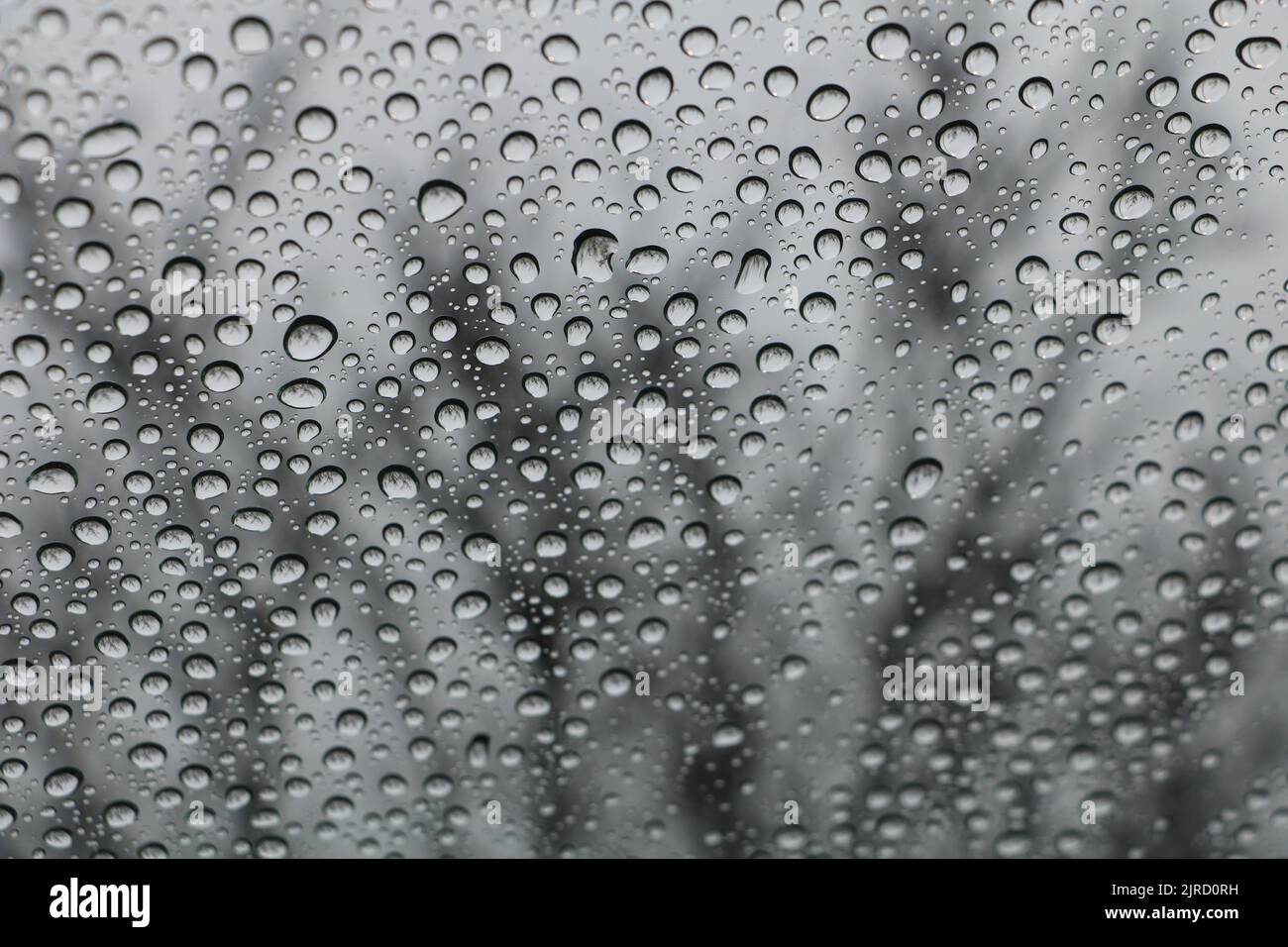 Raindrops window hi-res stock photography and images - Alamy