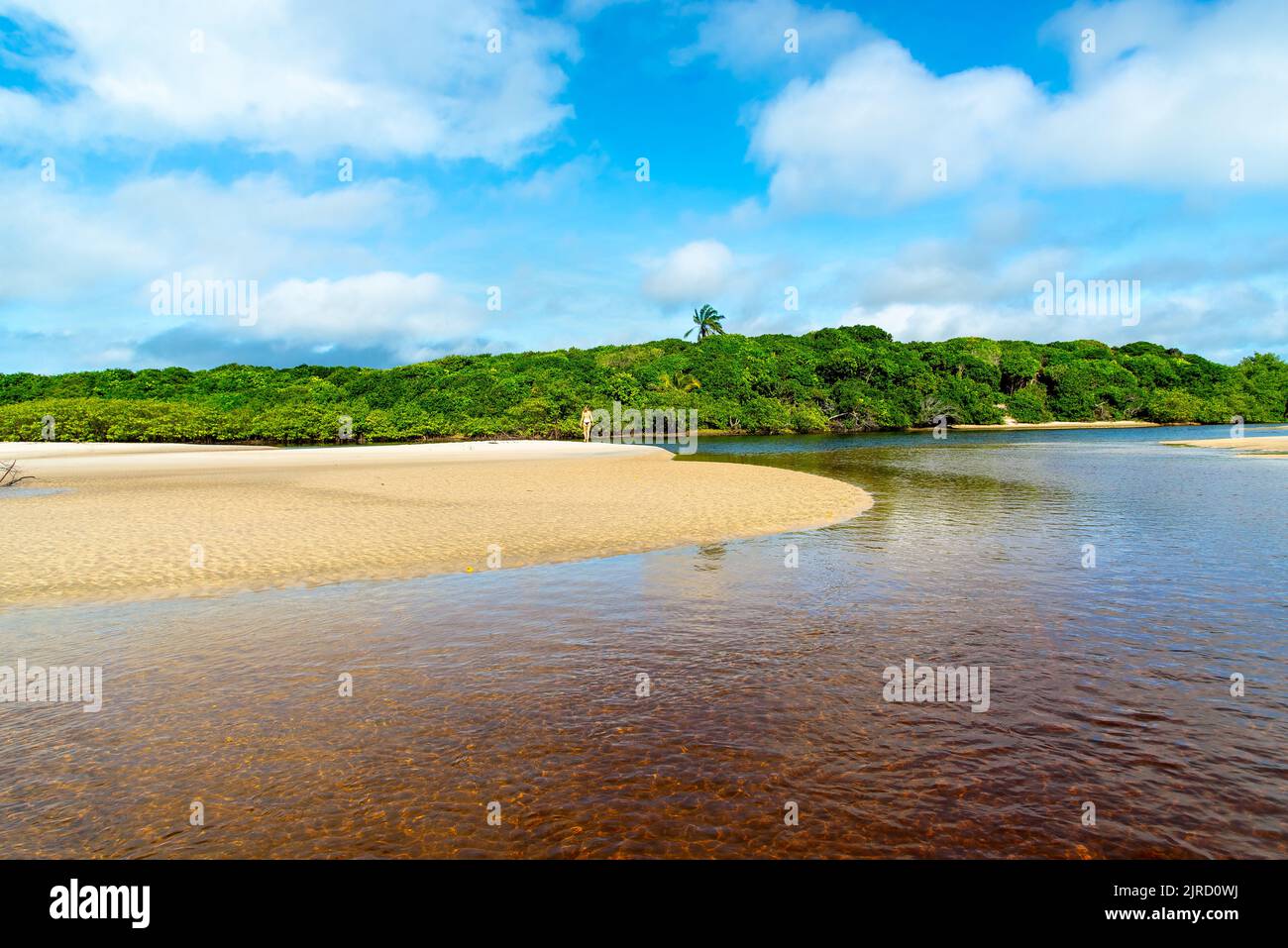 A woman, in a black bikini, is on the sand next to the red water river ...
