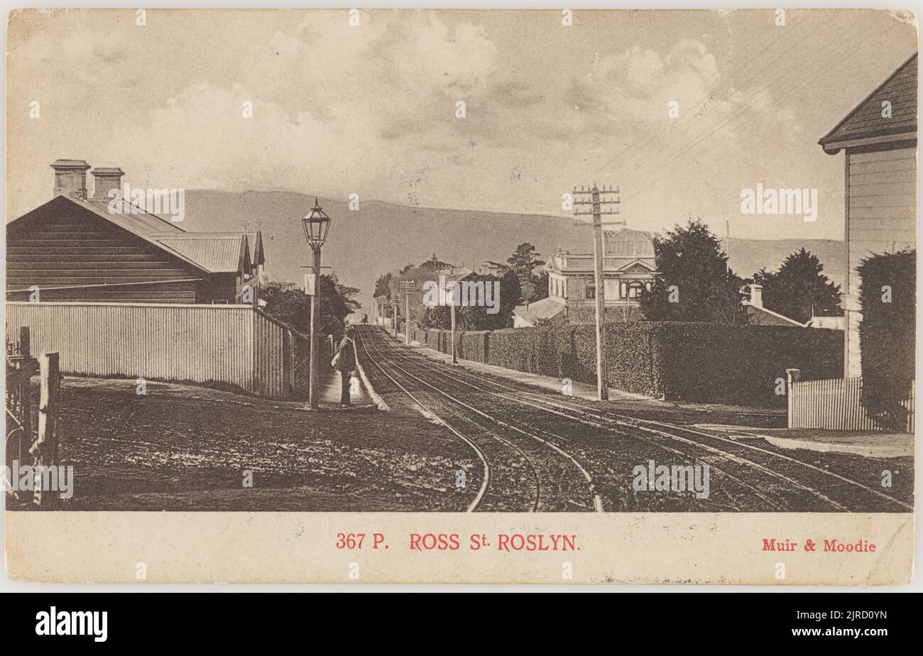 Ross Street, Roslyn, 1905, Dunedin, by Muir & Moodie Stock Photo - Alamy