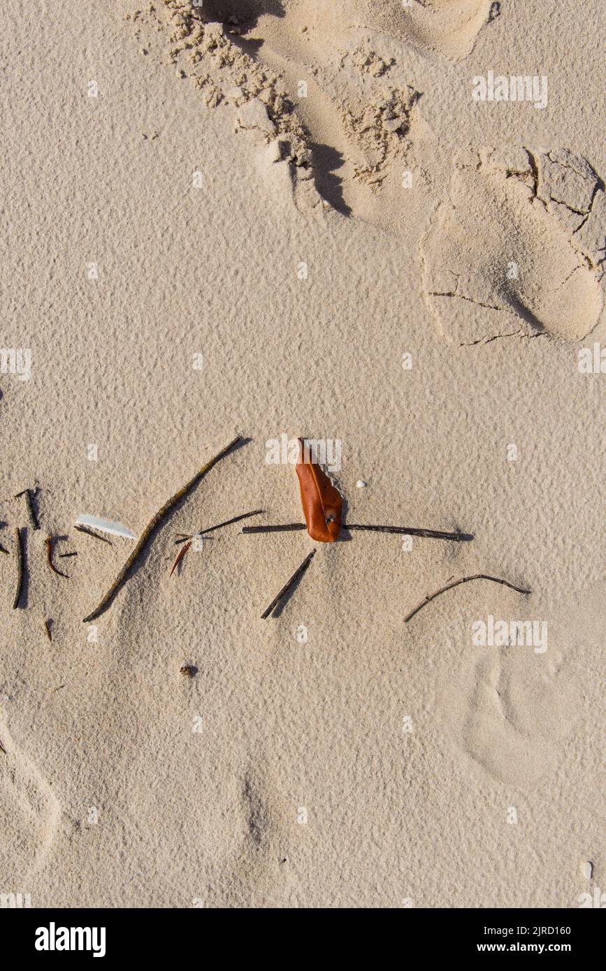 Beach sand filled frame with rocks and twigs. Guaibim beach in the city ...