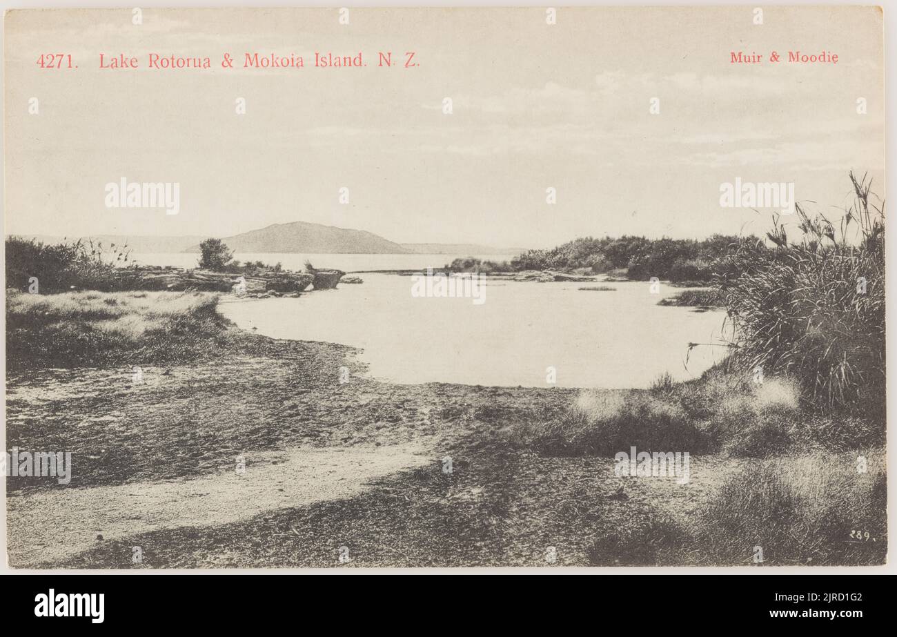 Lake Rotorua and Mokoia Island, New Zealand, 1904-1915, Rotorua, by ...