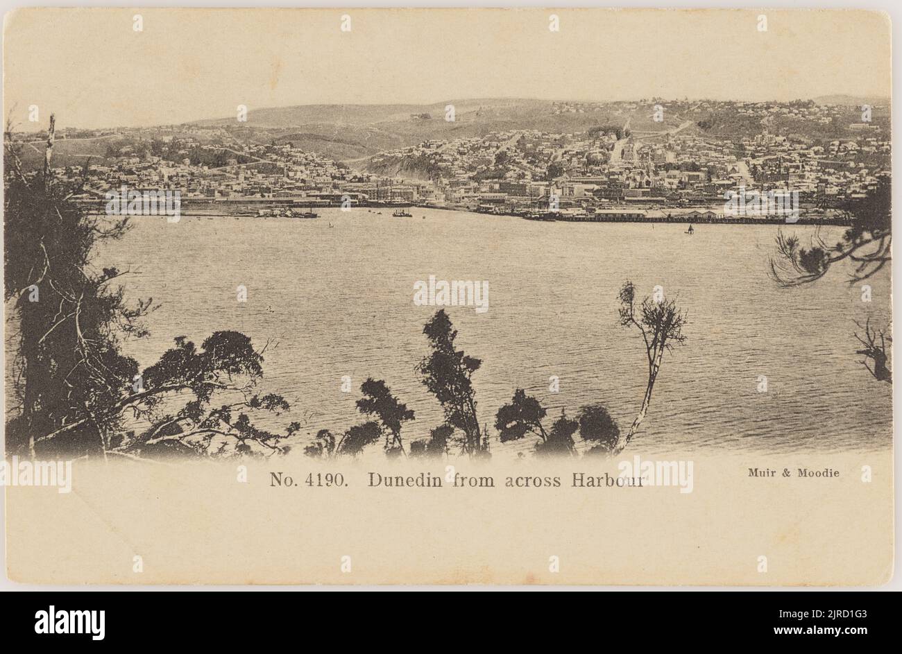 Dunedin 1900 hi-res stock photography and images - Alamy