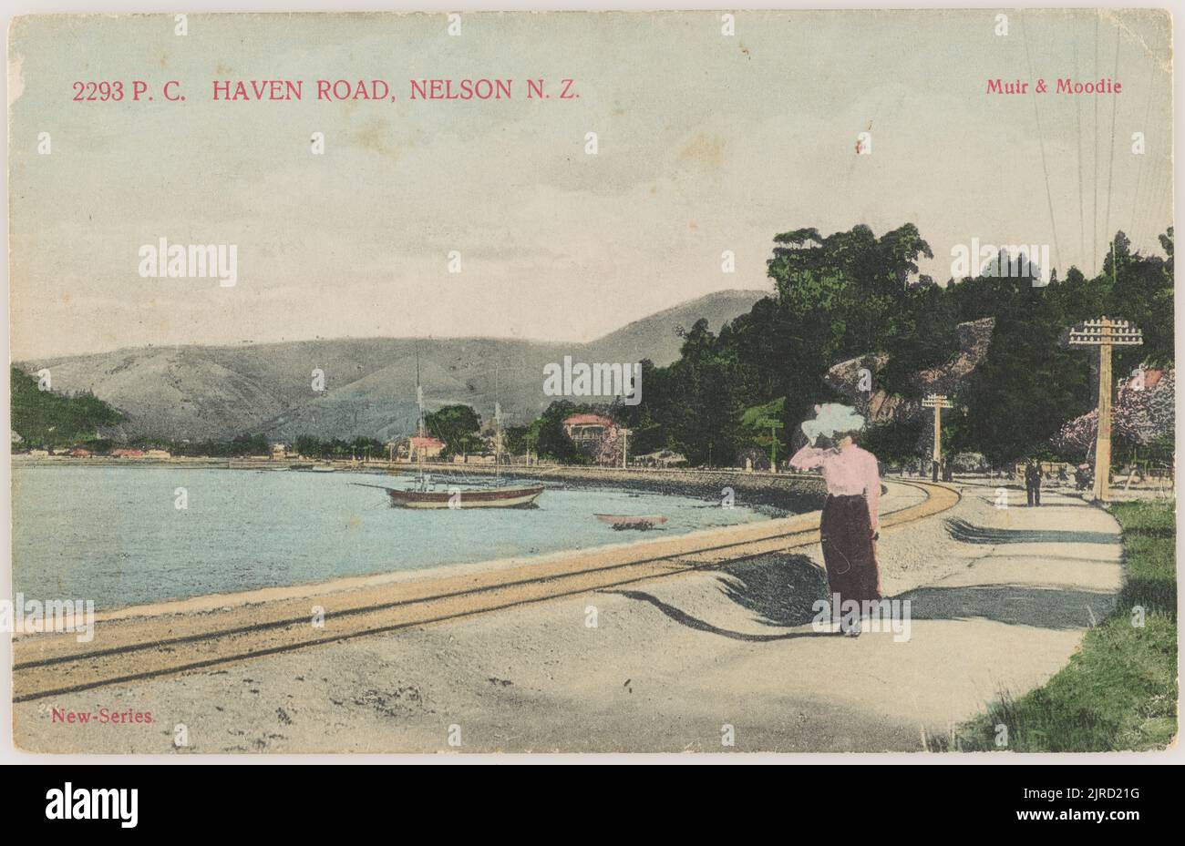 Haven Road, Nelson, New Zealand, 1906, Nelson, by Muir & Moodie Stock ...