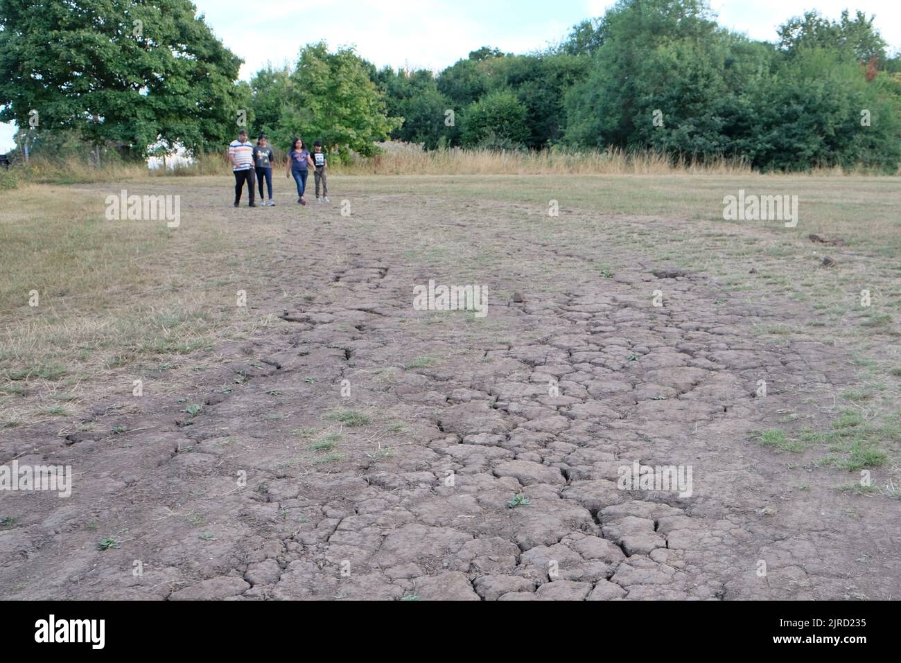 Uk drought summer 2022 hi-res stock photography and images - Alamy
