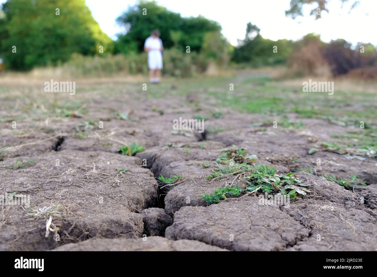 London drought 2022 hi-res stock photography and images - Alamy
