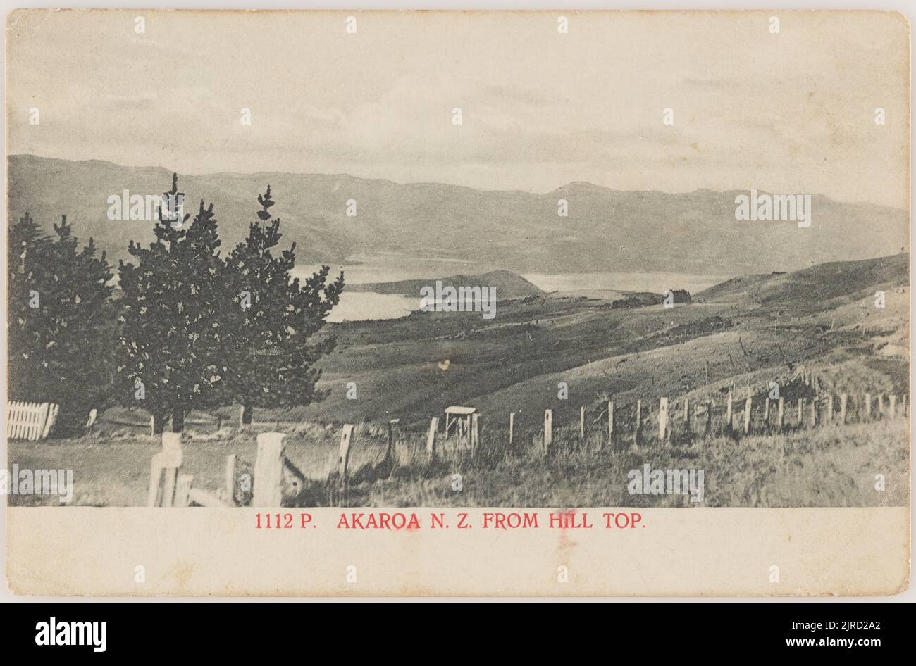 Akaroa, New Zealand from Hill Top, 1905, Akaroa, by Muir & Moodie Stock ...