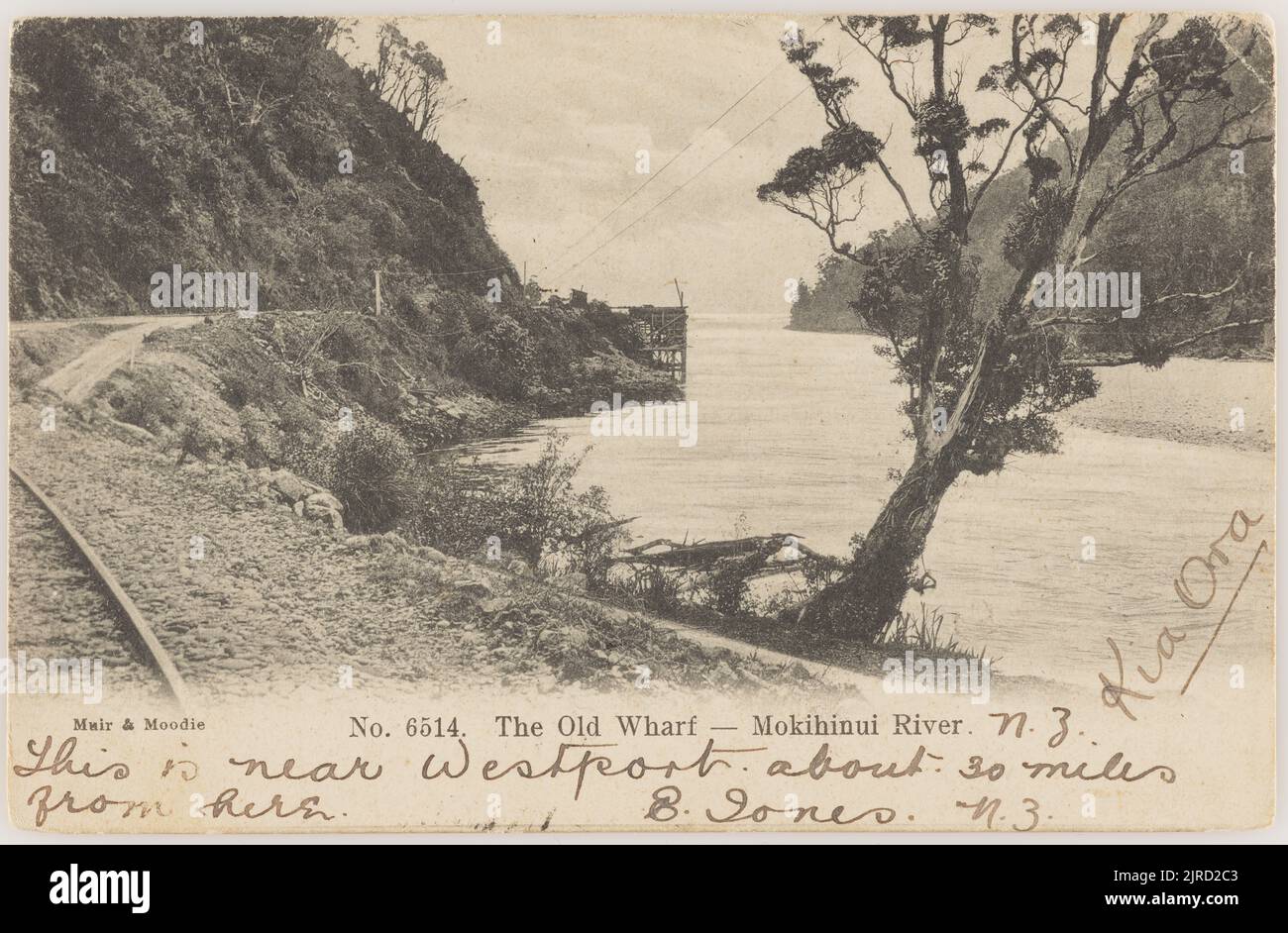 The Old Wharf, Mokihinui River, 1904, West Coast, by Muir & Moodie ...