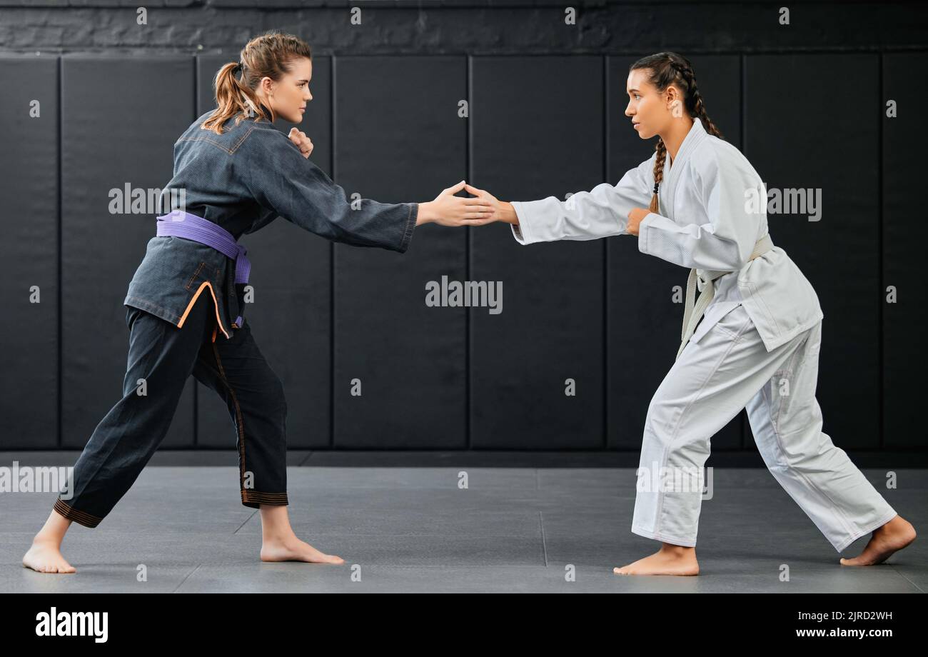 Karate training, handshake and exercise of female sport students about ...