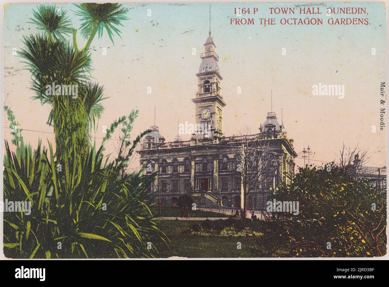 Town Hall, Dunedin from the Octagon Gardens, 1905, Dunedin, by Muir ...