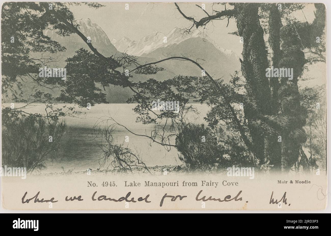 Lake Manapouri from Fairy Cove, 1900-1903, Manapouri, Lake, by Muir ...