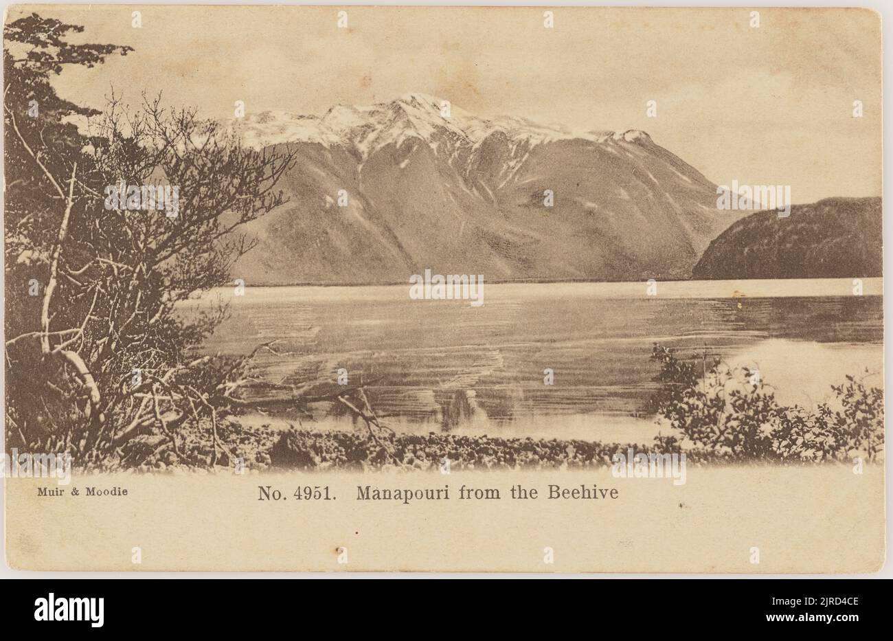Manapouri from the Beehive, 1900-1903, Manapouri, Lake, by Muir ...