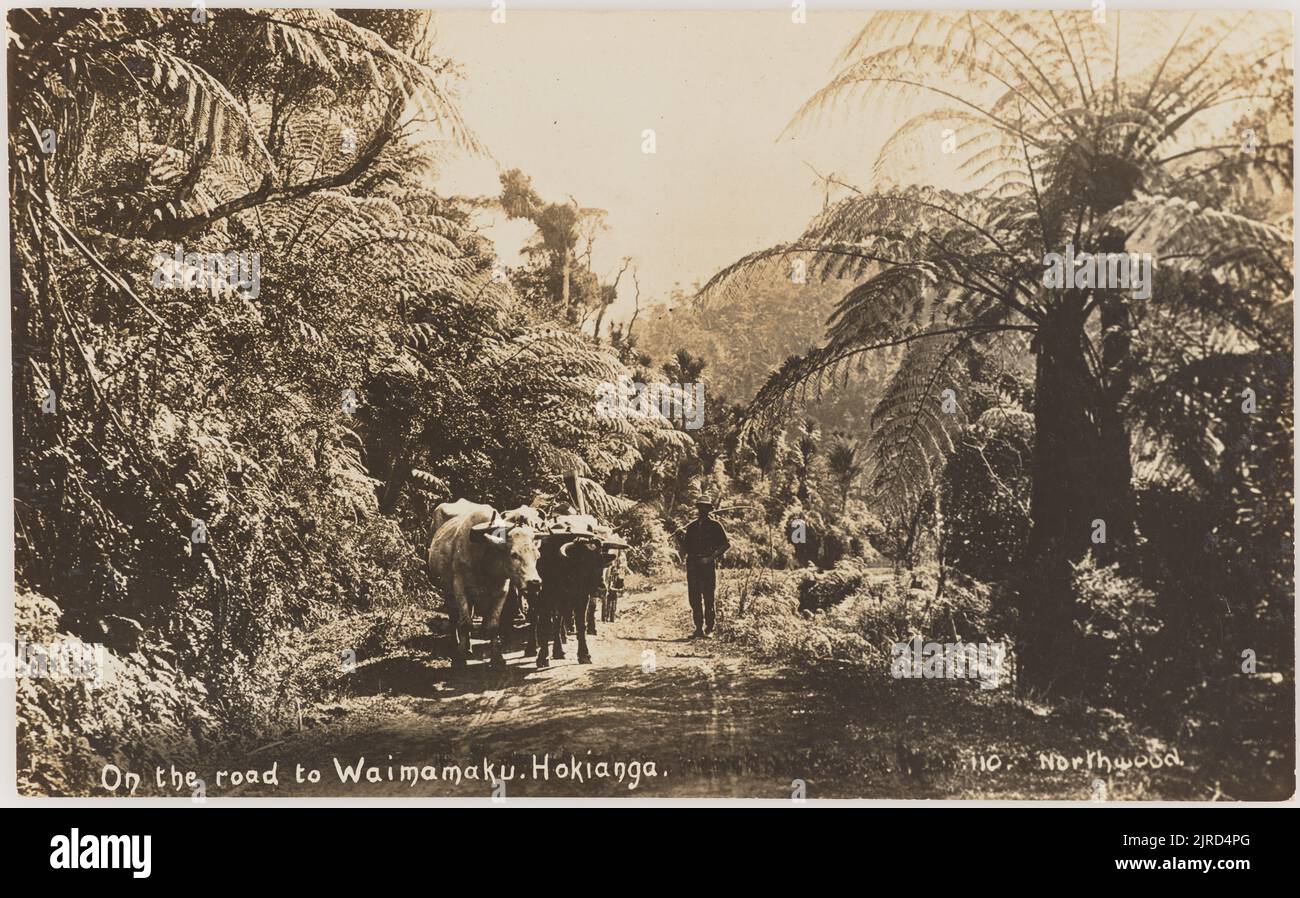 On the road to Waimamaku, Hokianga, 1910s, Hokianga Harbour, by ...