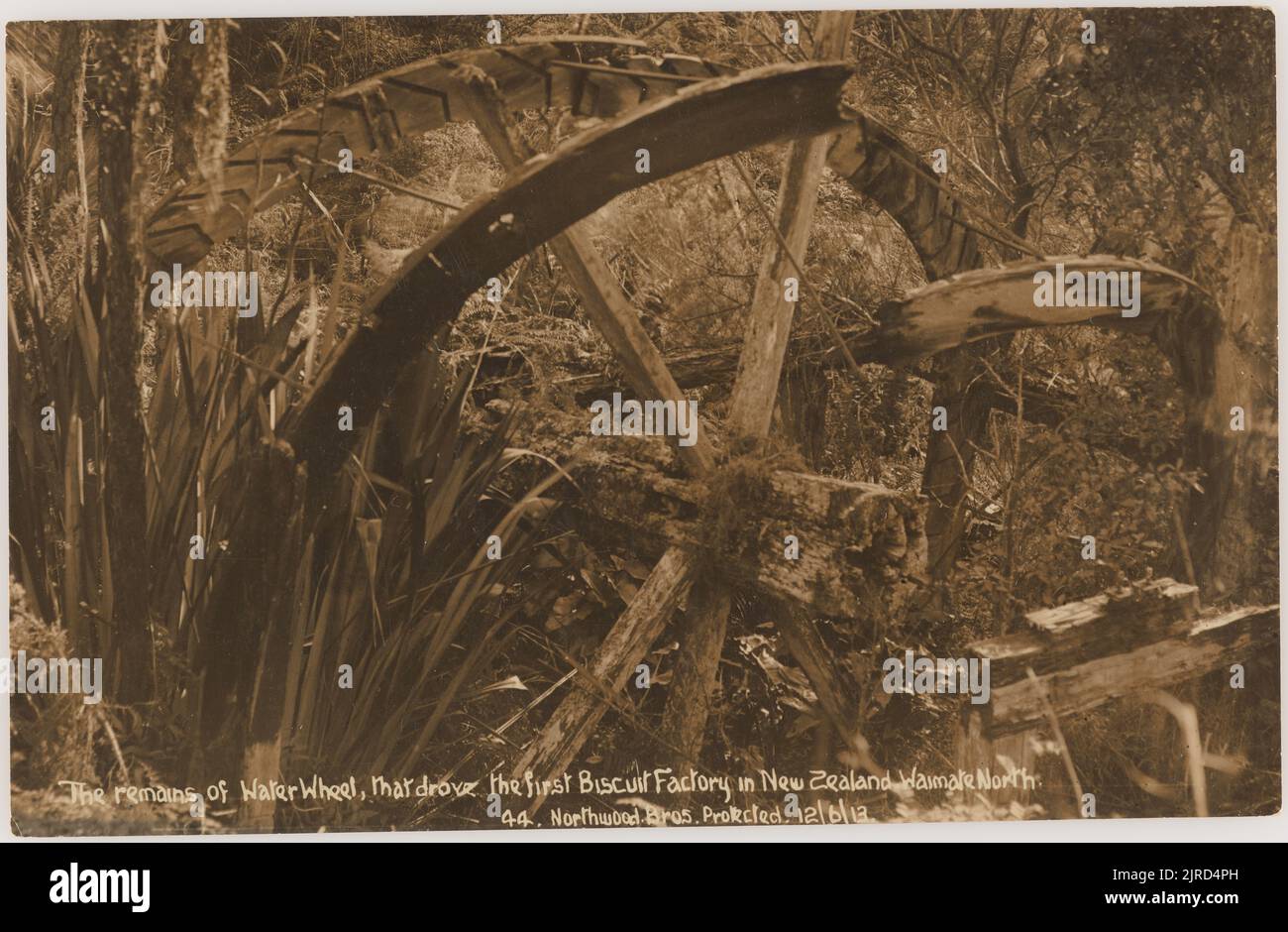 The remains of a waterwheel that drove the first biscuit factory in New ...