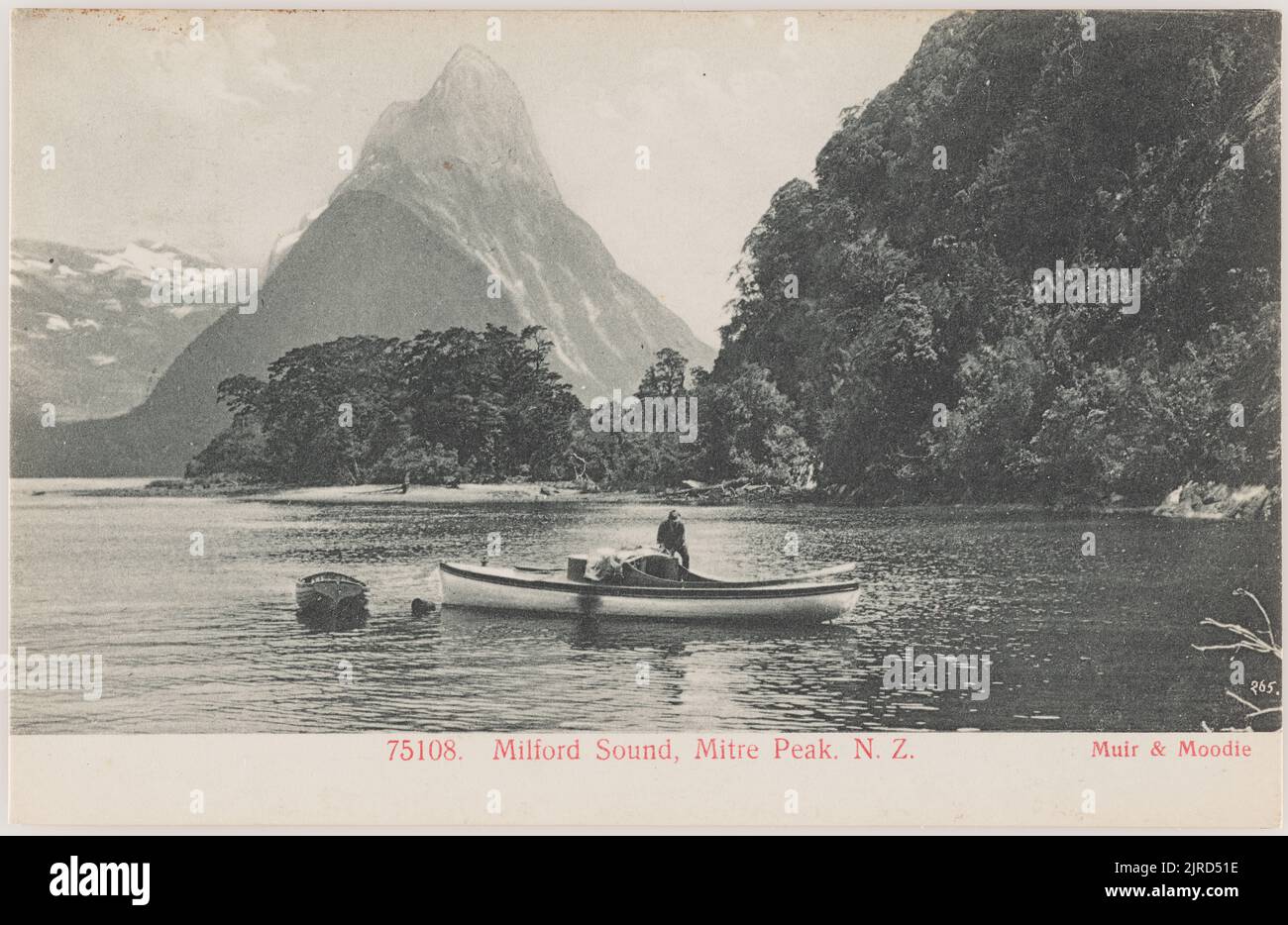 Milford Sound, Mitre Peak. N. Z. Muir & Moodie, Dunedin, by Muir ...