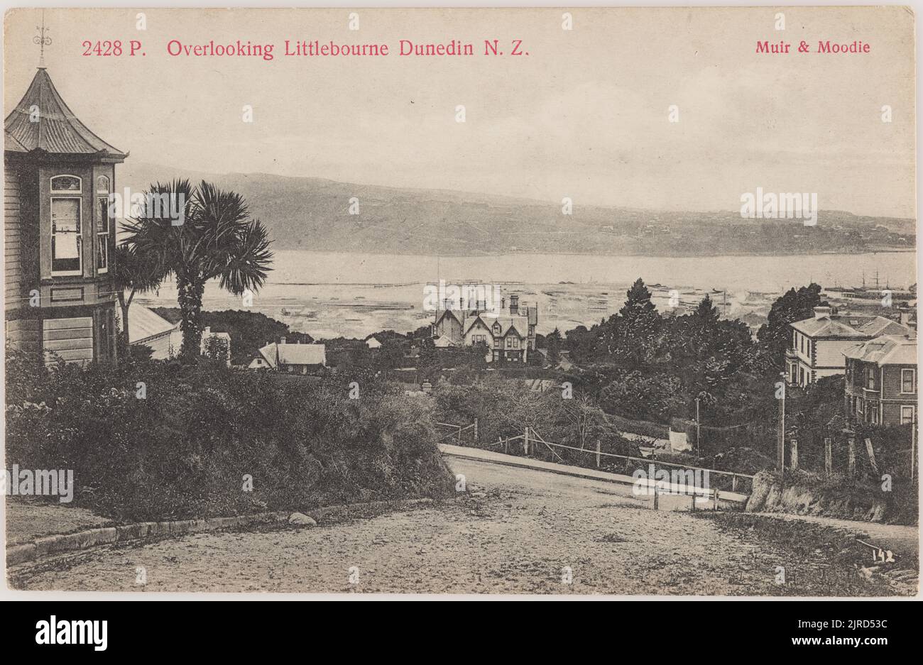 Overlooking Littlebourne Dunedin N. Z., Dunedin, by Muir & Moodie Stock ...
