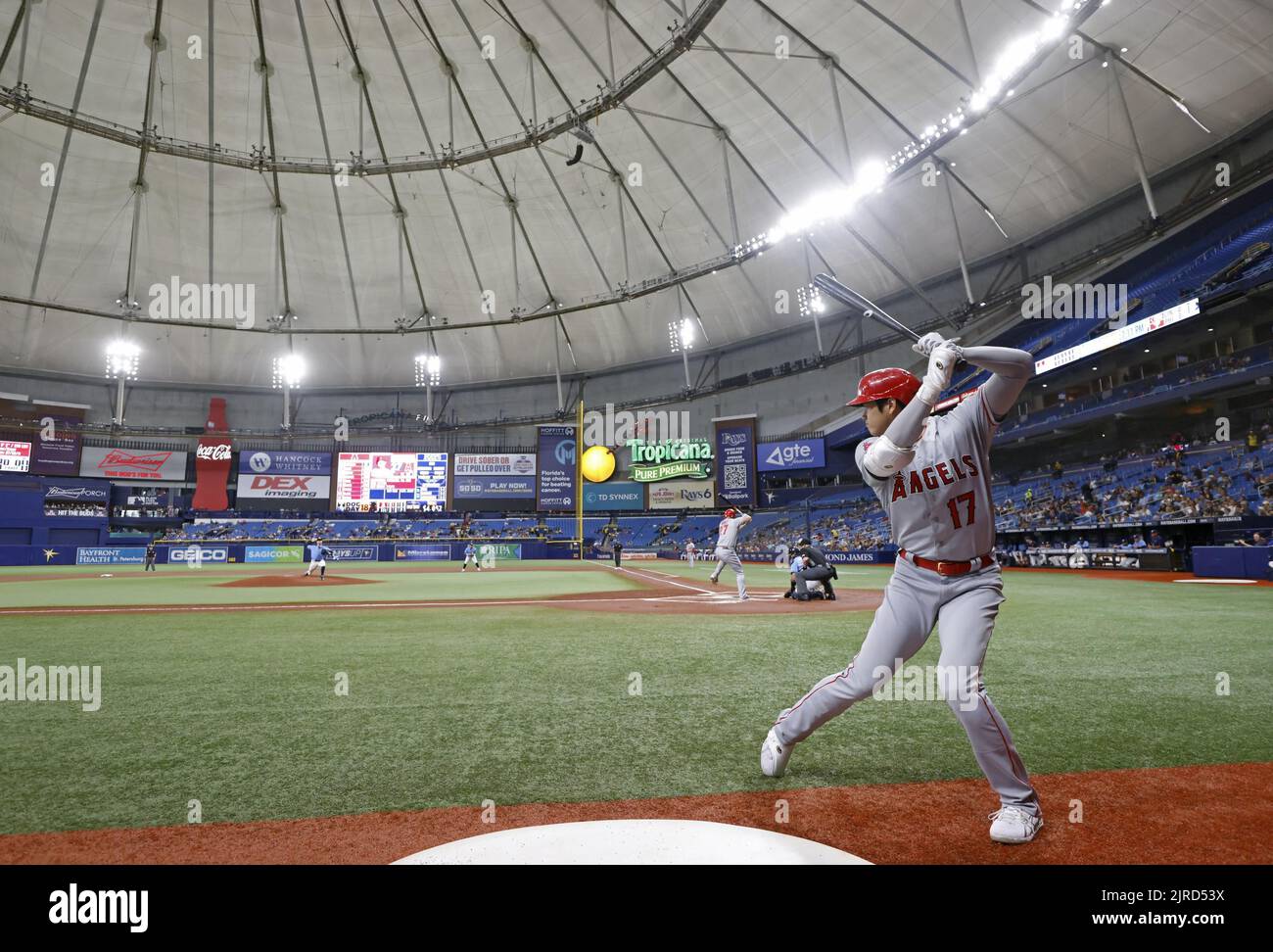Los Angeles Angels designated hitter Shohei Ohtani prepares to bat in ...