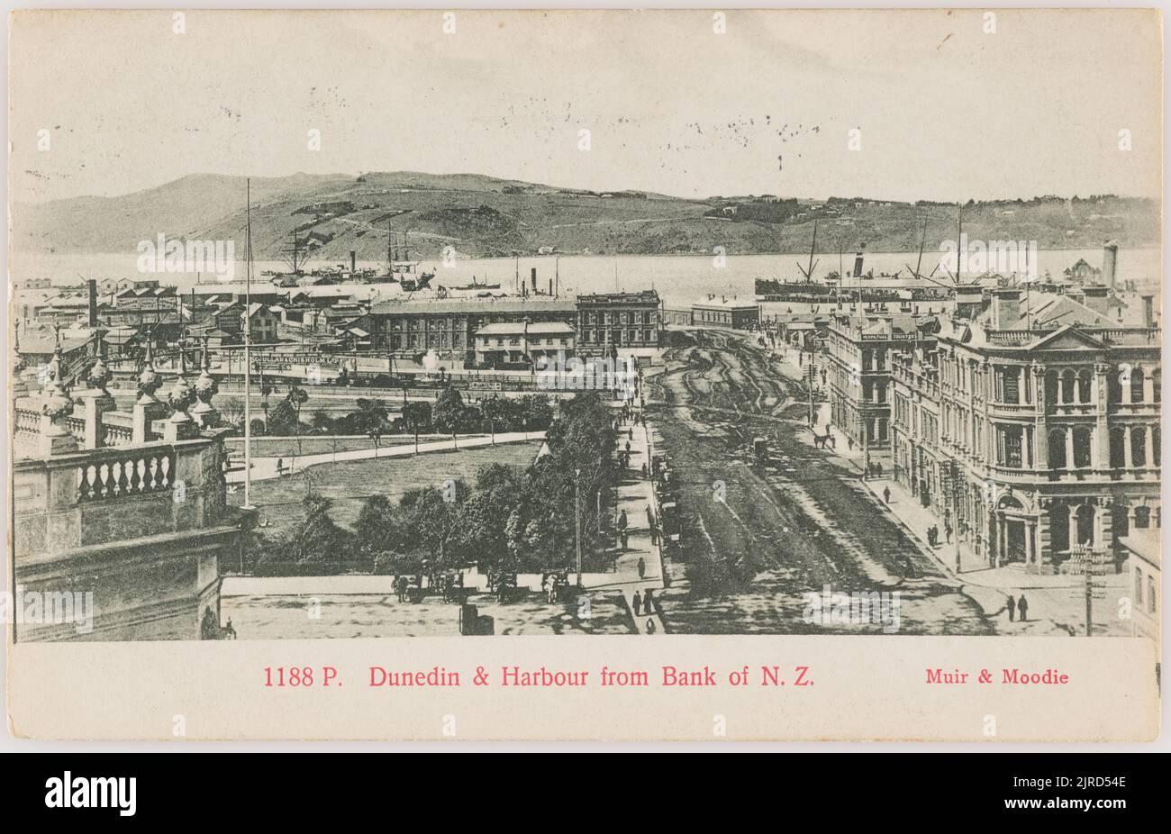 Dunedin harbour n hi-res stock photography and images - Alamy