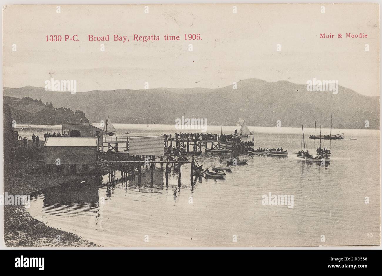 Broad Bay, Regatta time 1906., Dunedin, by Muir & Moodie Stock Photo ...