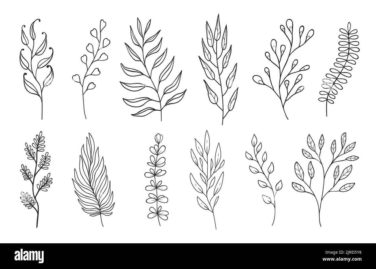 Outline twigs and sprigs floral embellishments. Linear isolated vector ...