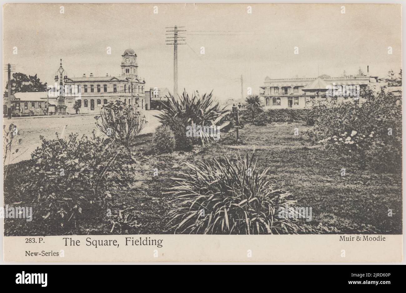 Feilding the square hi-res stock photography and images - Alamy